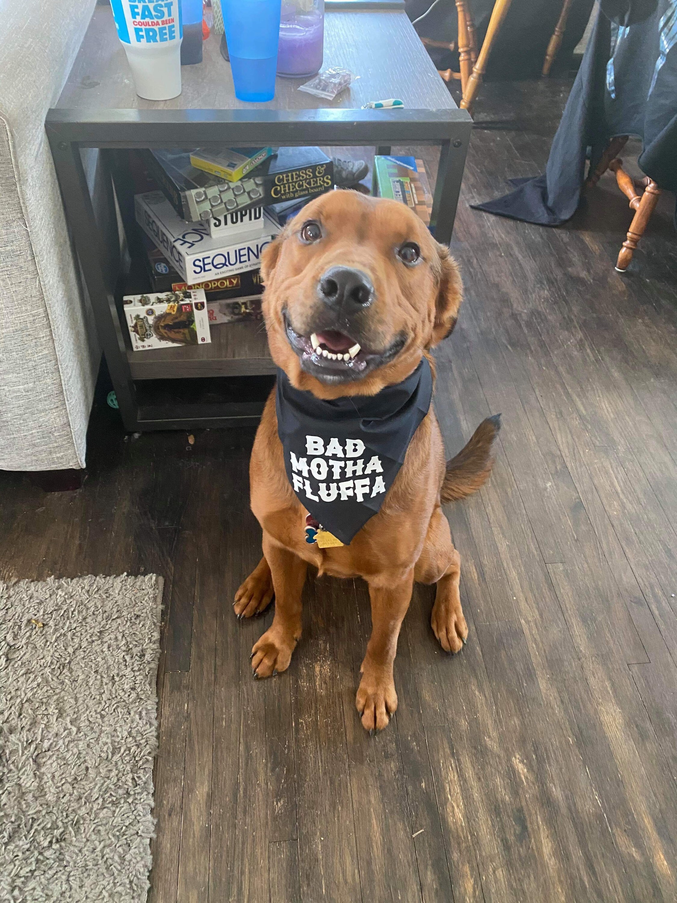 BAD MOTHA FLUFFA dog Bandana - Etsy Singapore