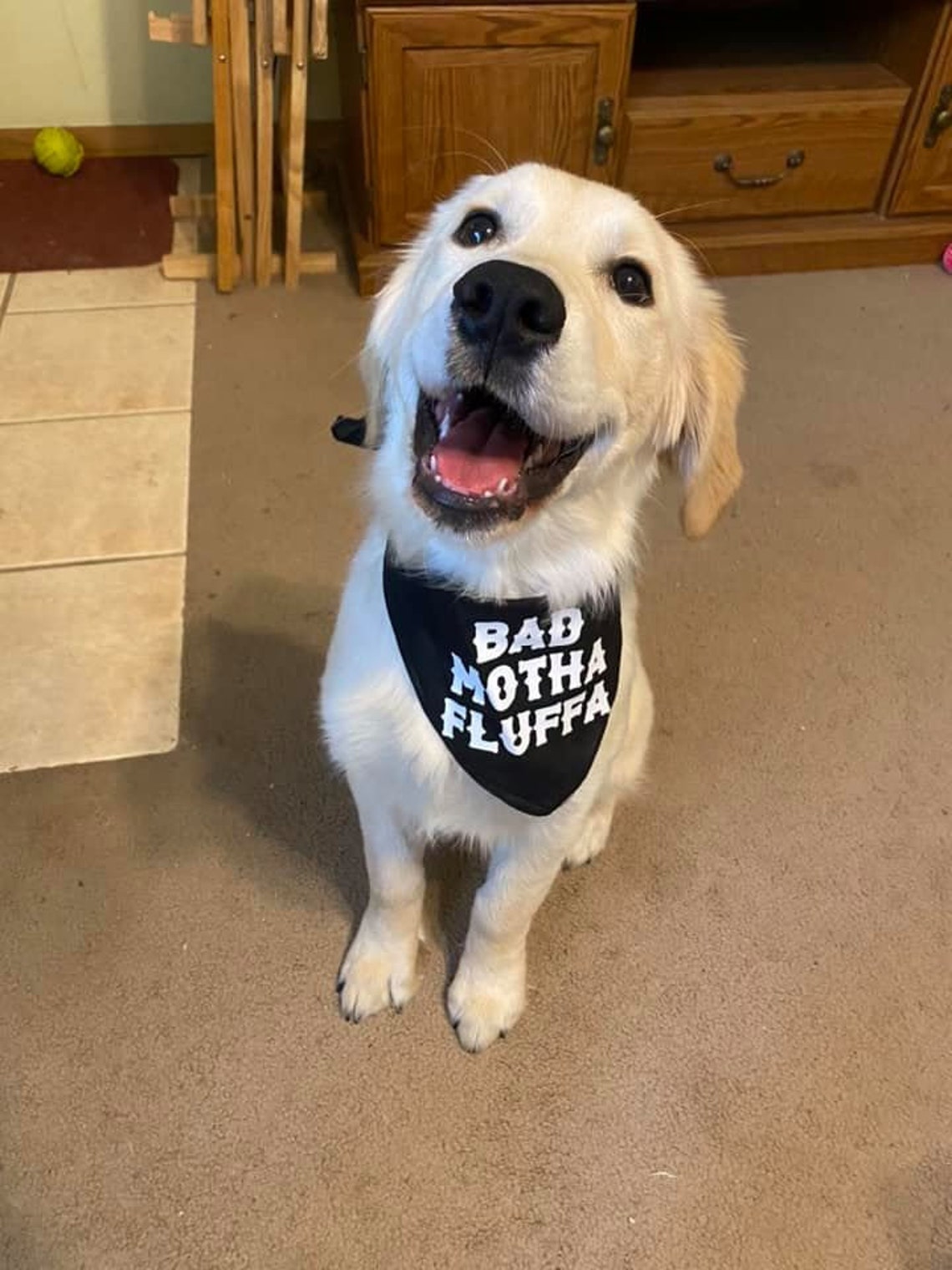 BAD MOTHA FLUFFA Dog Bandana | Etsy