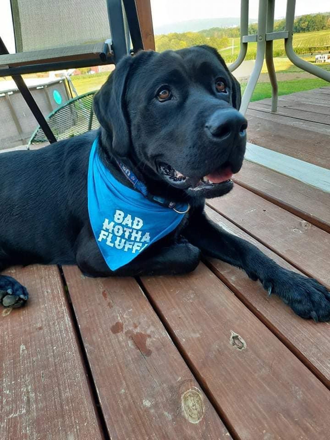 BAD MOTHA FLUFFA Dog Bandana | Etsy