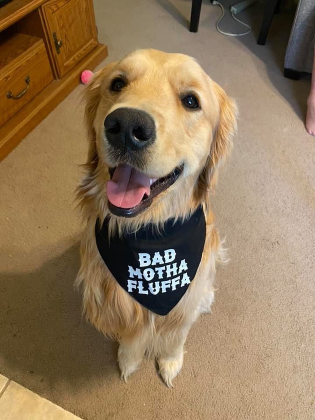 BAD MOTHA FLUFFA dog Bandana - Etsy