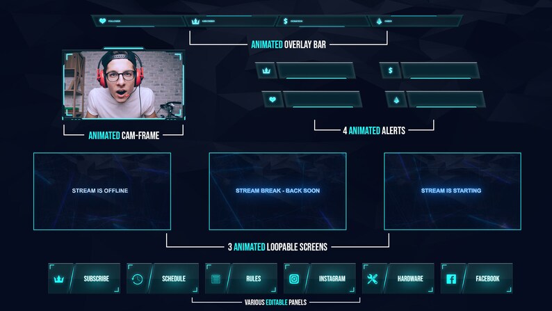 ANIMATED PULSE Twitch-overlay - Etsy