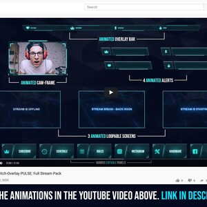 ANIMATED PULSE Twitch-overlay - Etsy