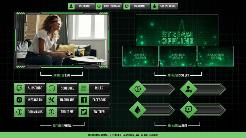 Animated WARZONE 2 Twitch Overlay | Webcam, Screens, Alerts, Panels ...
