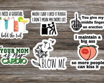 Adult Sticker Set - Etsy