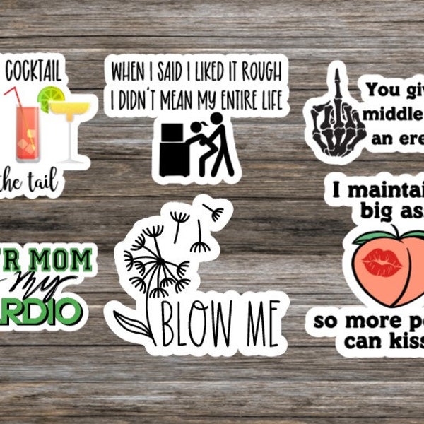 Adult Sticker Dirty - Etsy