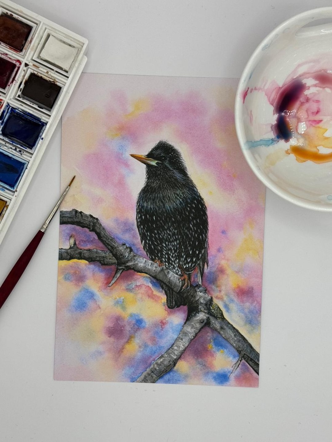 Handmade Original Art 4x6 Common Starling in a Kaleidoscope of Colors ...
