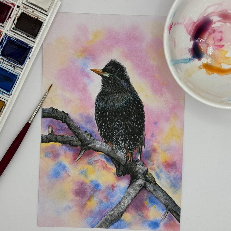Starling Art - Etsy