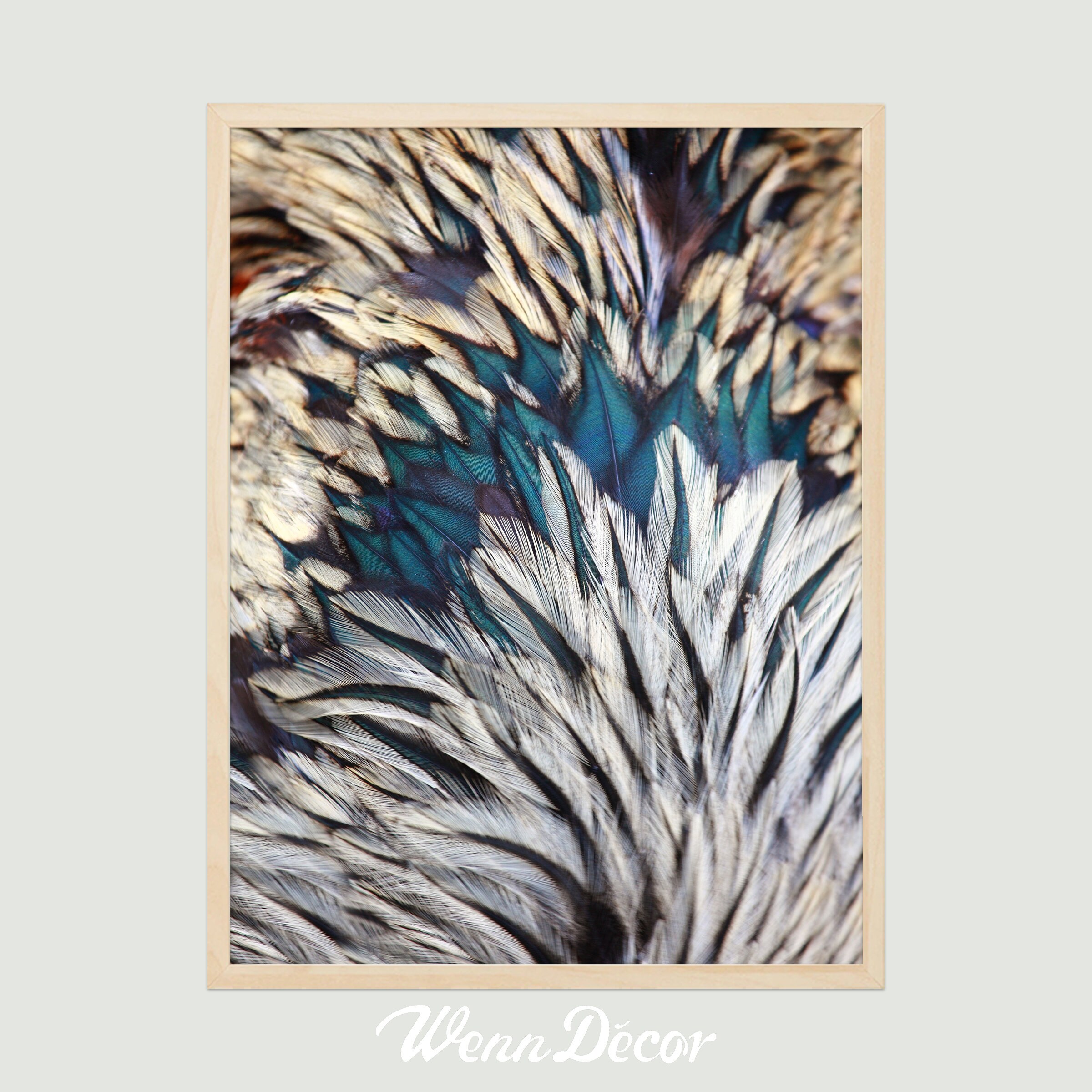 Set of 3 Prints Colorful Feather Print Modern Art Indian Indian Style ...