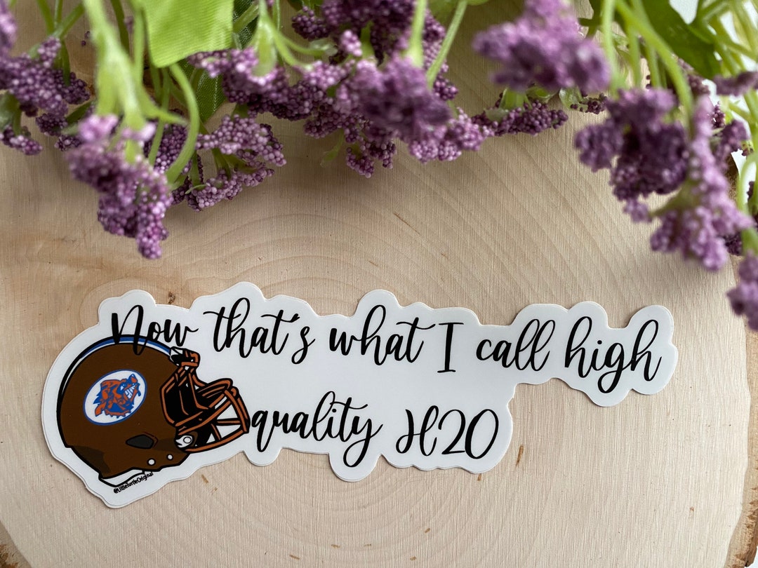 Water Boy High Quality H20 Sticker, Movie Sticker, Die Cut Sticker ...