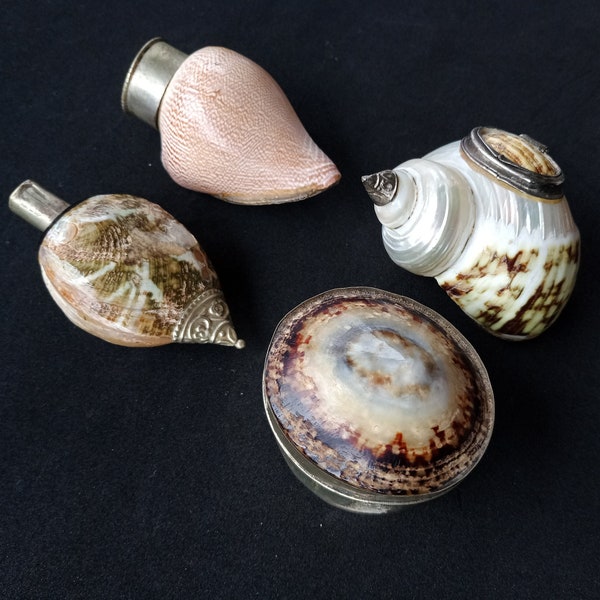 Shell Pill Box - Etsy