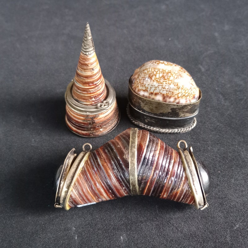 Shell Pill Box - Etsy