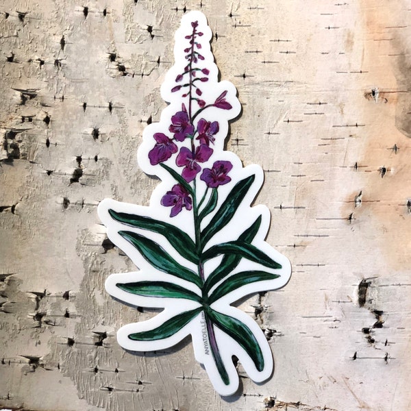 Alaskan Fireweed - Etsy