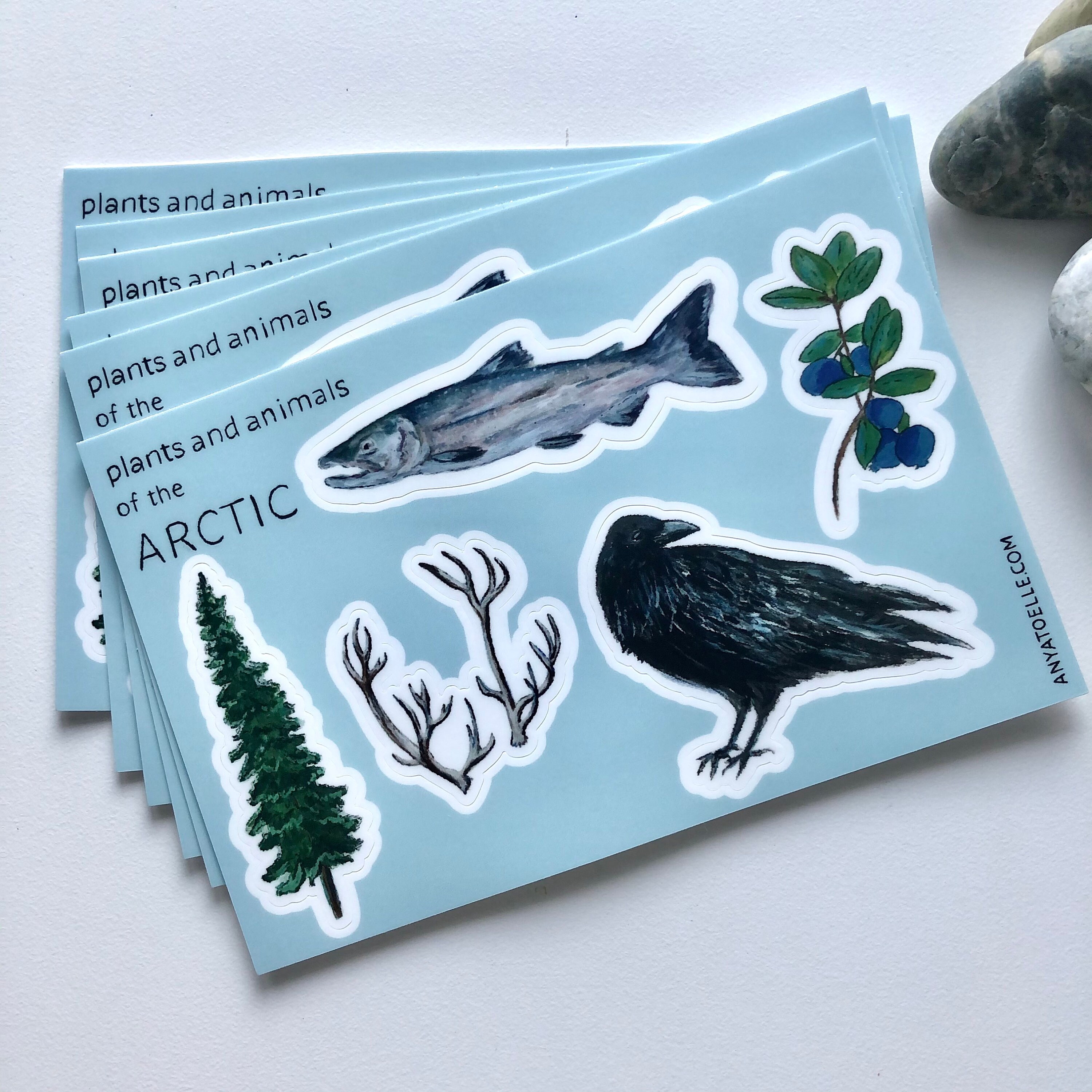 Sticker Sheet Plants and Animals of the Arctic Art by Anya | Etsy