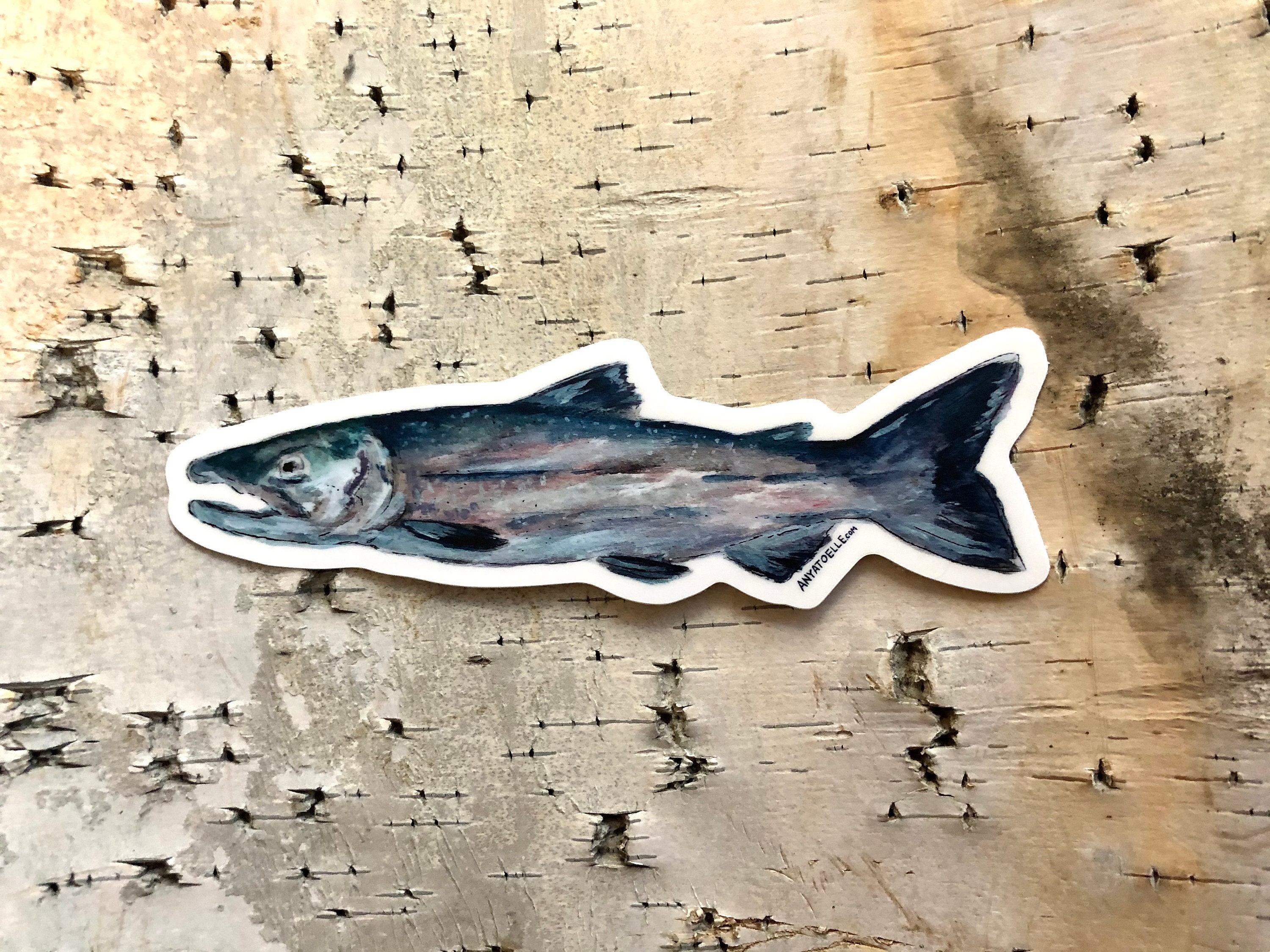 Fish Sticker Alaskan Salmon Alaskan Artist Local Art - Etsy