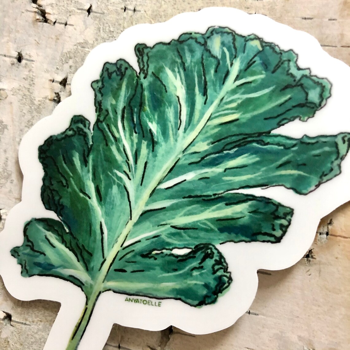 Kale Leaf Sticker Vegetable Sticker Art by Anya Toelle - Etsy
