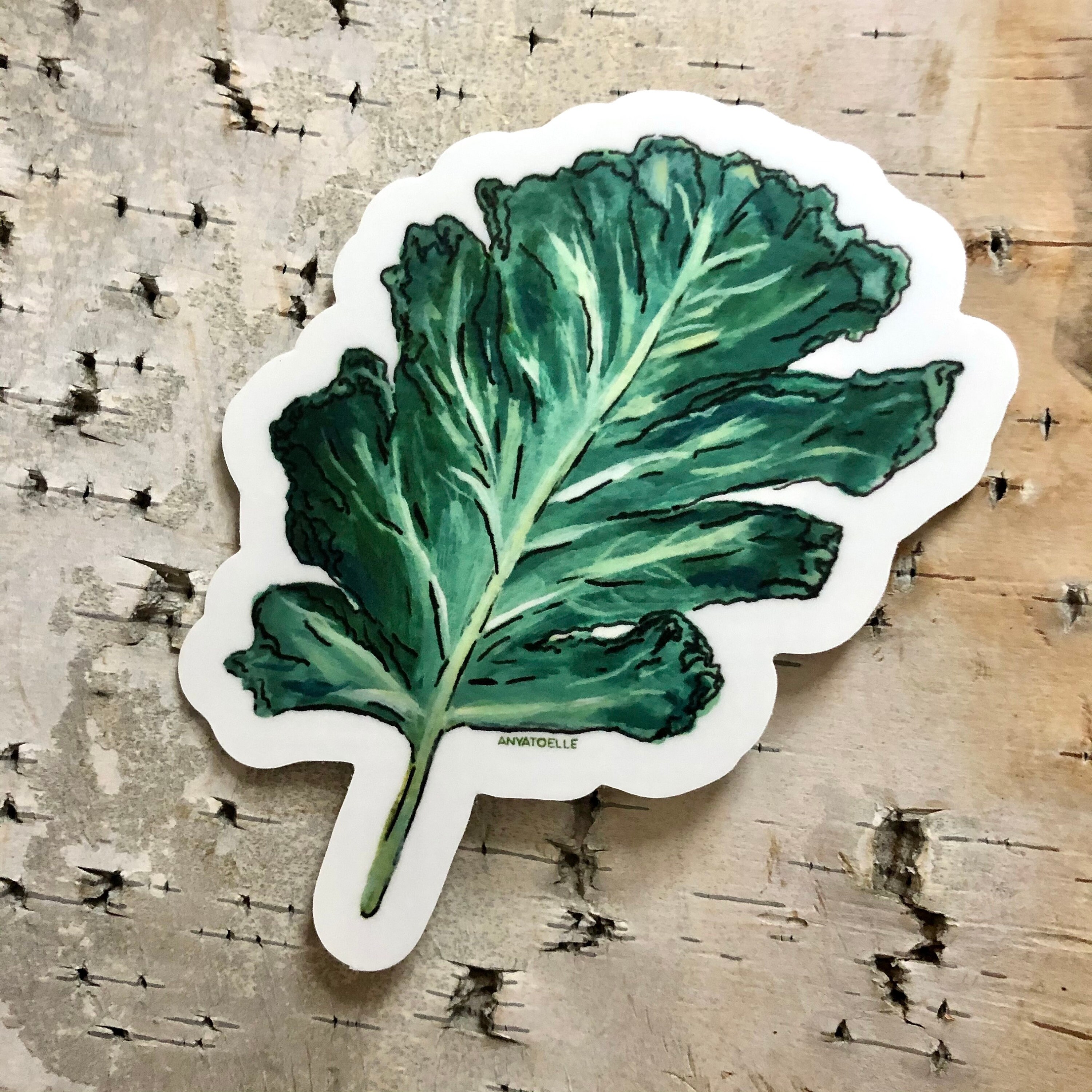 Kale Leaf Sticker Vegetable Sticker Art by Anya Toelle - Etsy