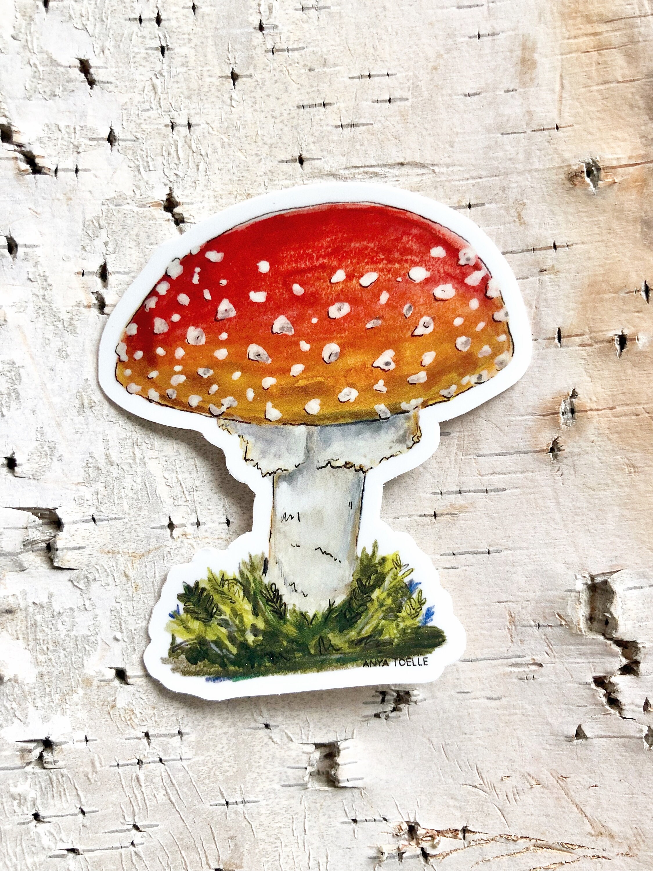 Mini Mushrooms Sticker Set | Set of 2 Stickers | Amanita Wild Mushroom ...