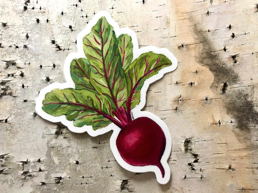 Beet Sticker | Vegetable, Harvest, Garden, Summer | Acrylic Paint ...