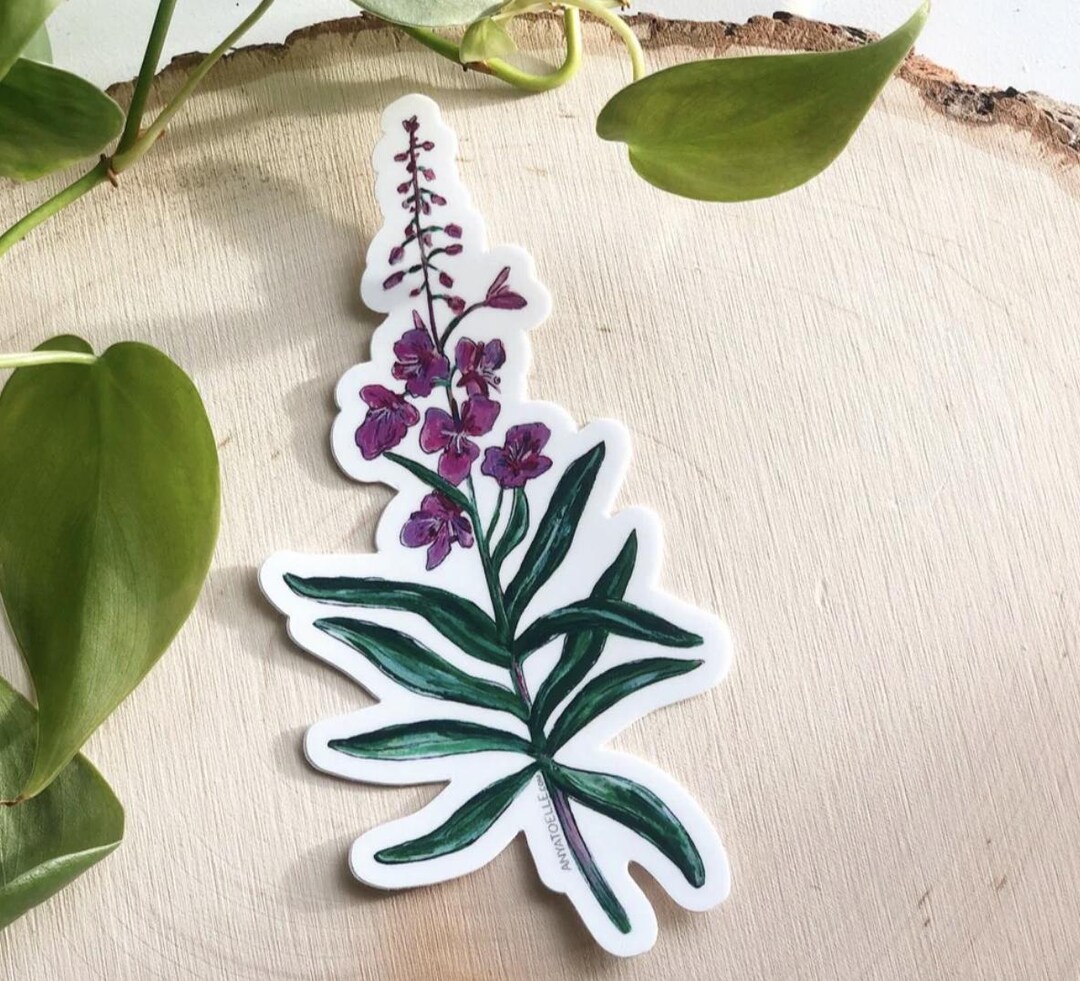 Fireweed Sticker | Wildflower | Plant | Alaska Sticker | Anya Toelle ...