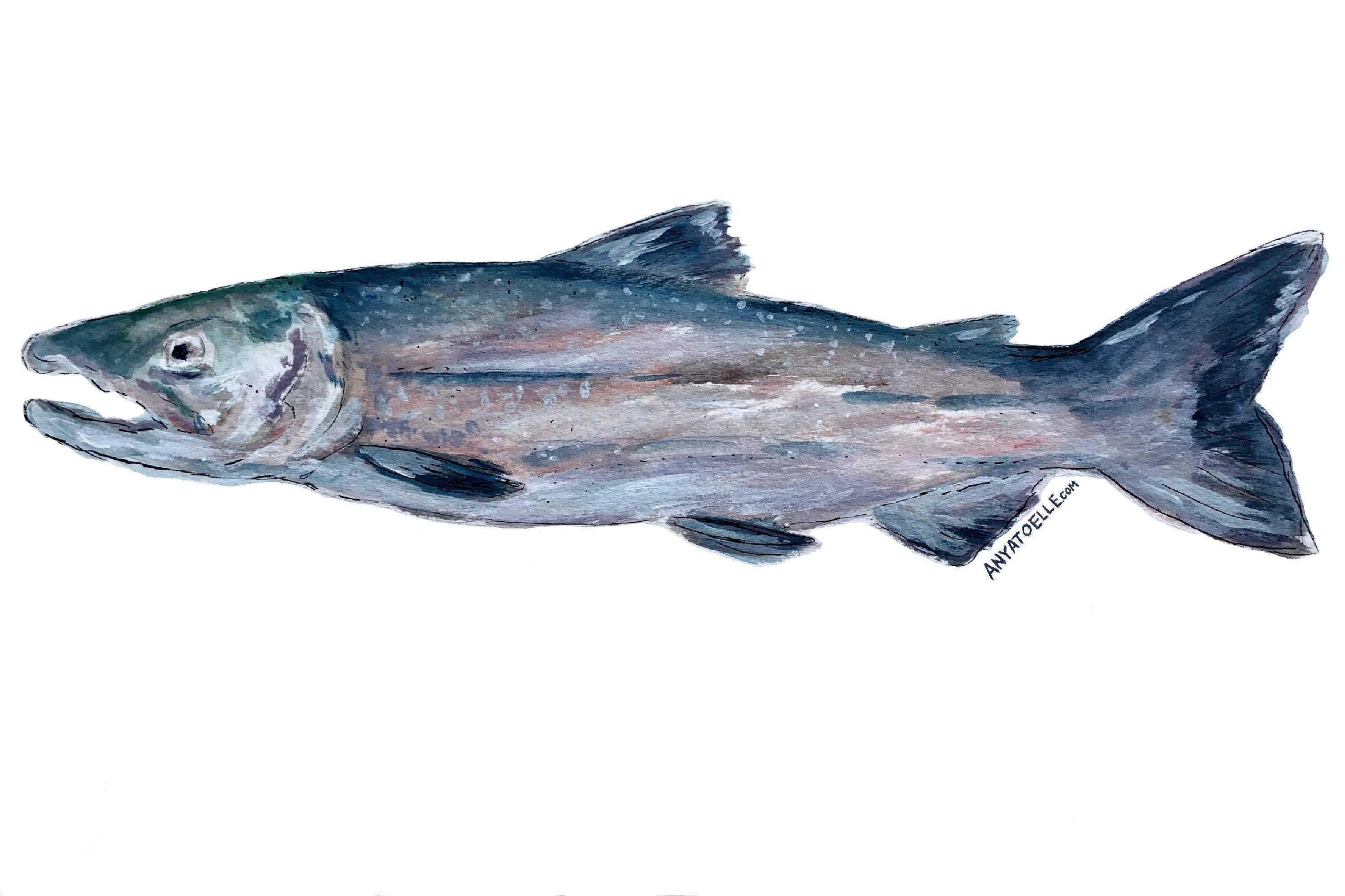 Fish Magnet Alaskan Salmon Alaskan artist local art | Etsy