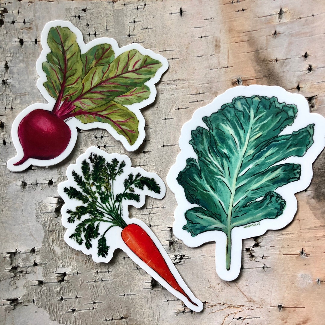 Small Veggie Stickers | Carrot Kale Beet | Vegetable Stickers | Veggies ...