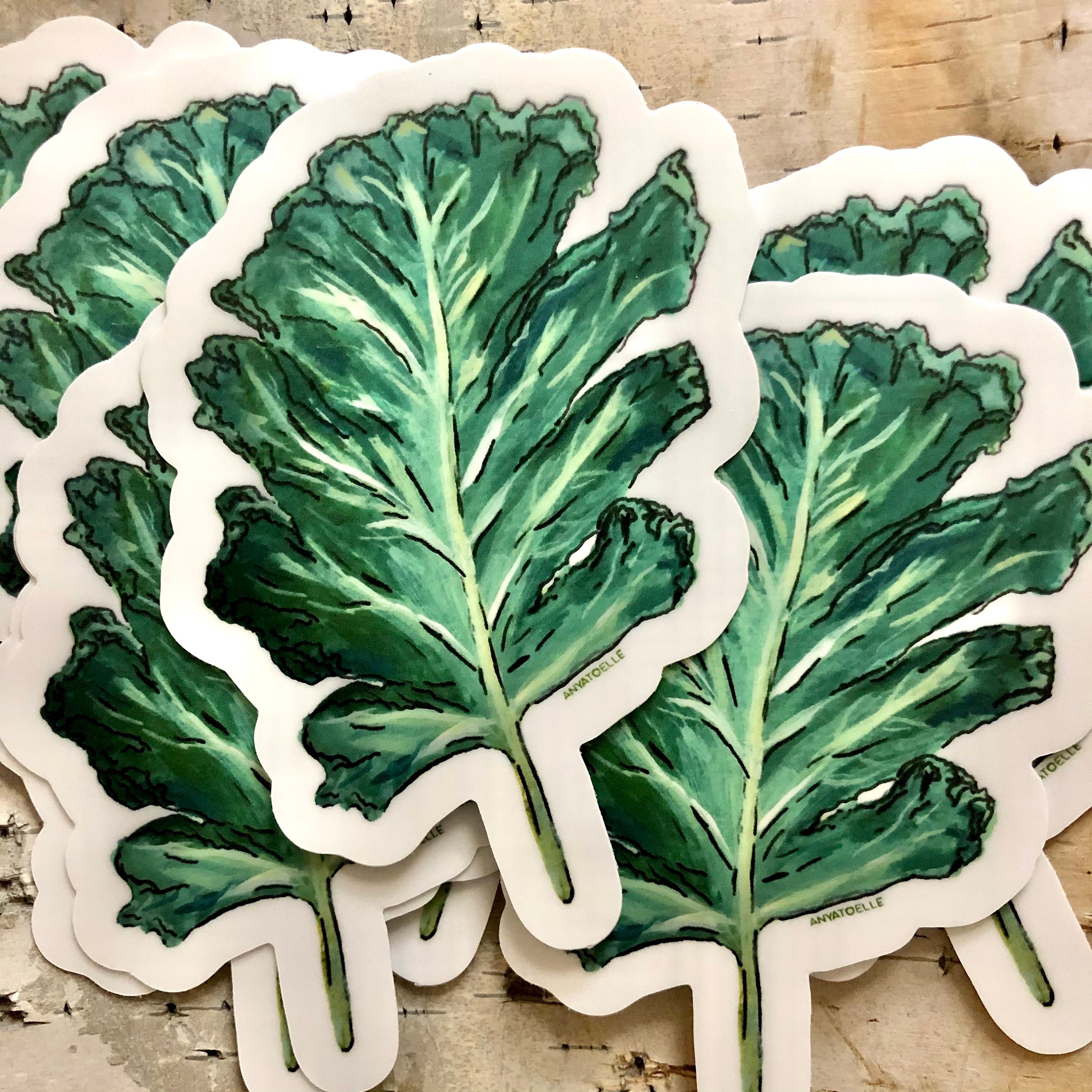 Kale Leaf Sticker Vegetable Sticker Art by Anya Toelle - Etsy