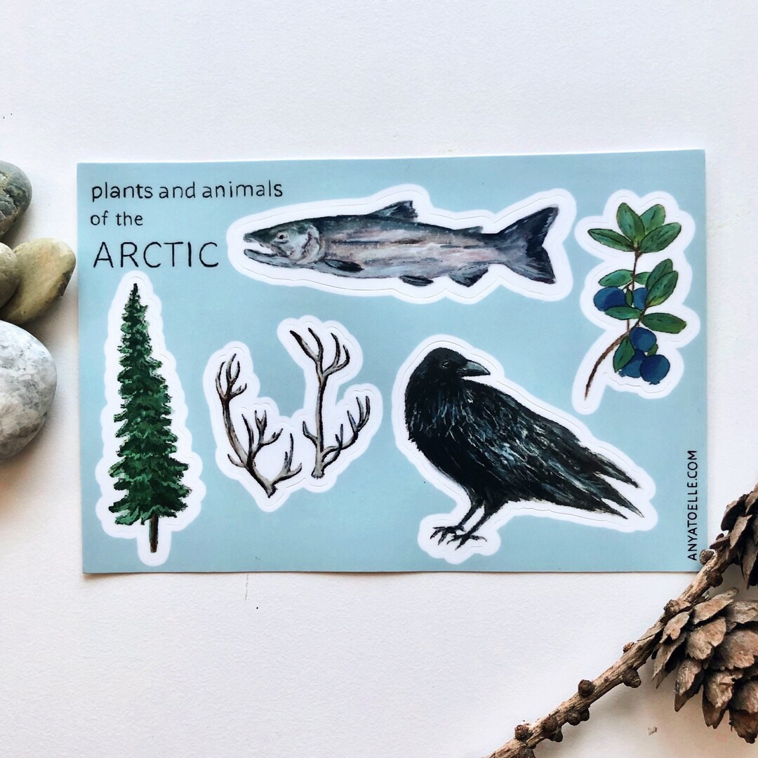 Sticker Sheet | Plants and Animals of the Arctic | Art by Anya Toelle ...