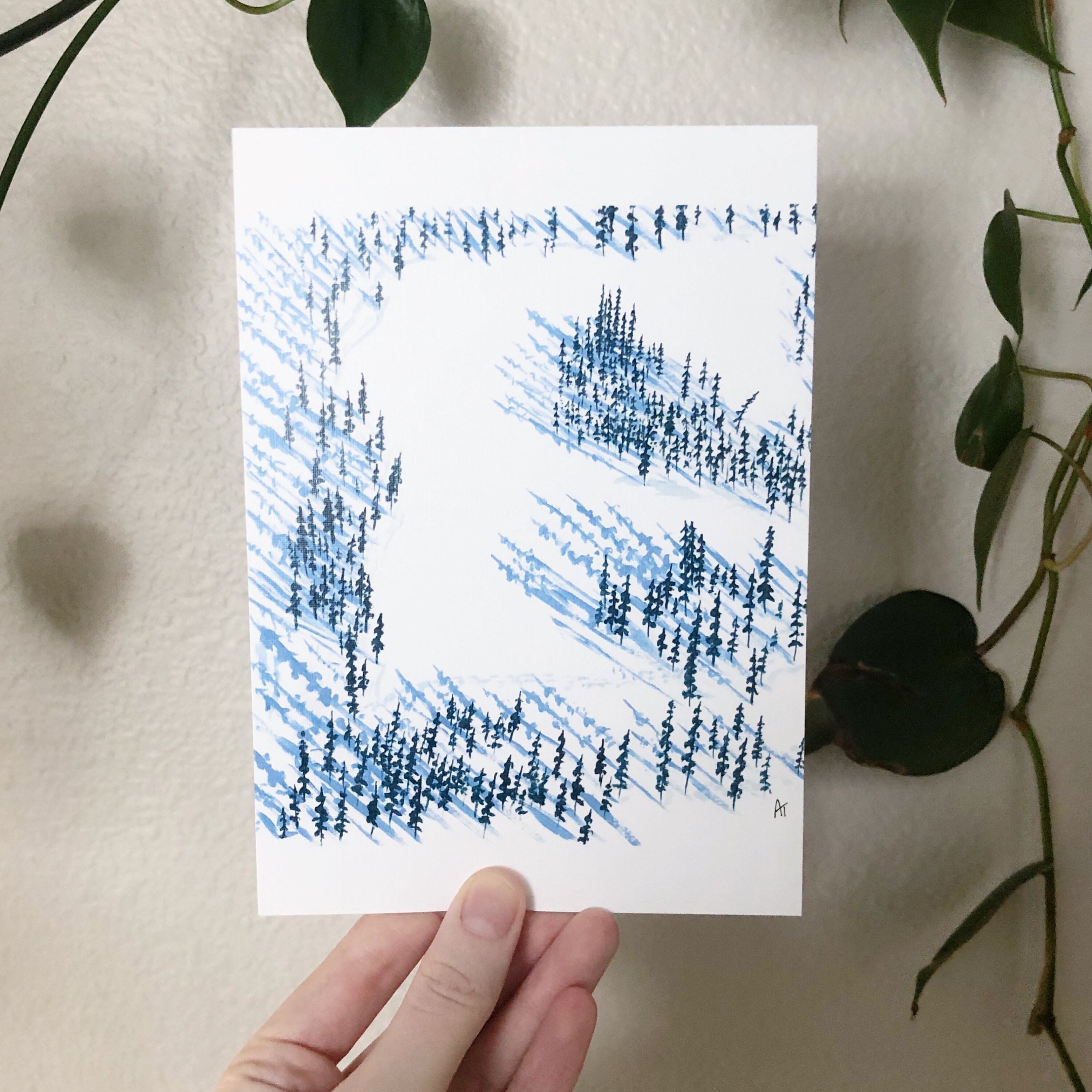 Spruce Tree Shadow Print Art by Anya Toelle Spruce Tree Painting Alaska ...