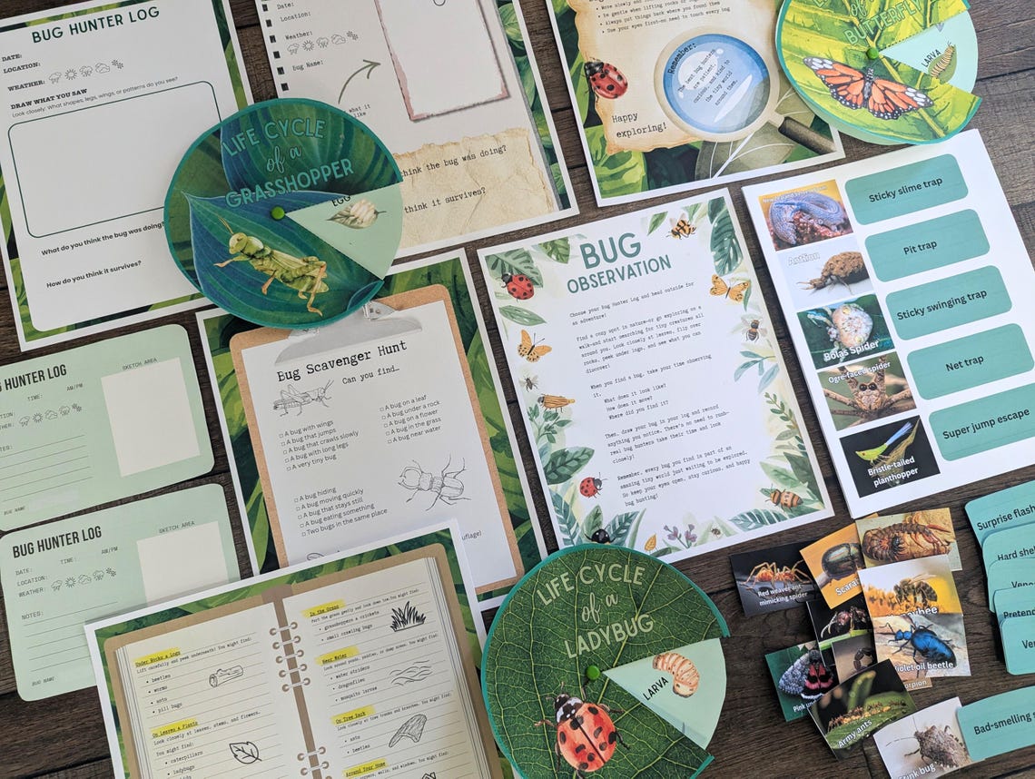 Bug Unit Study | 30-day Elementary Insect Curriculum | Anthology of ...