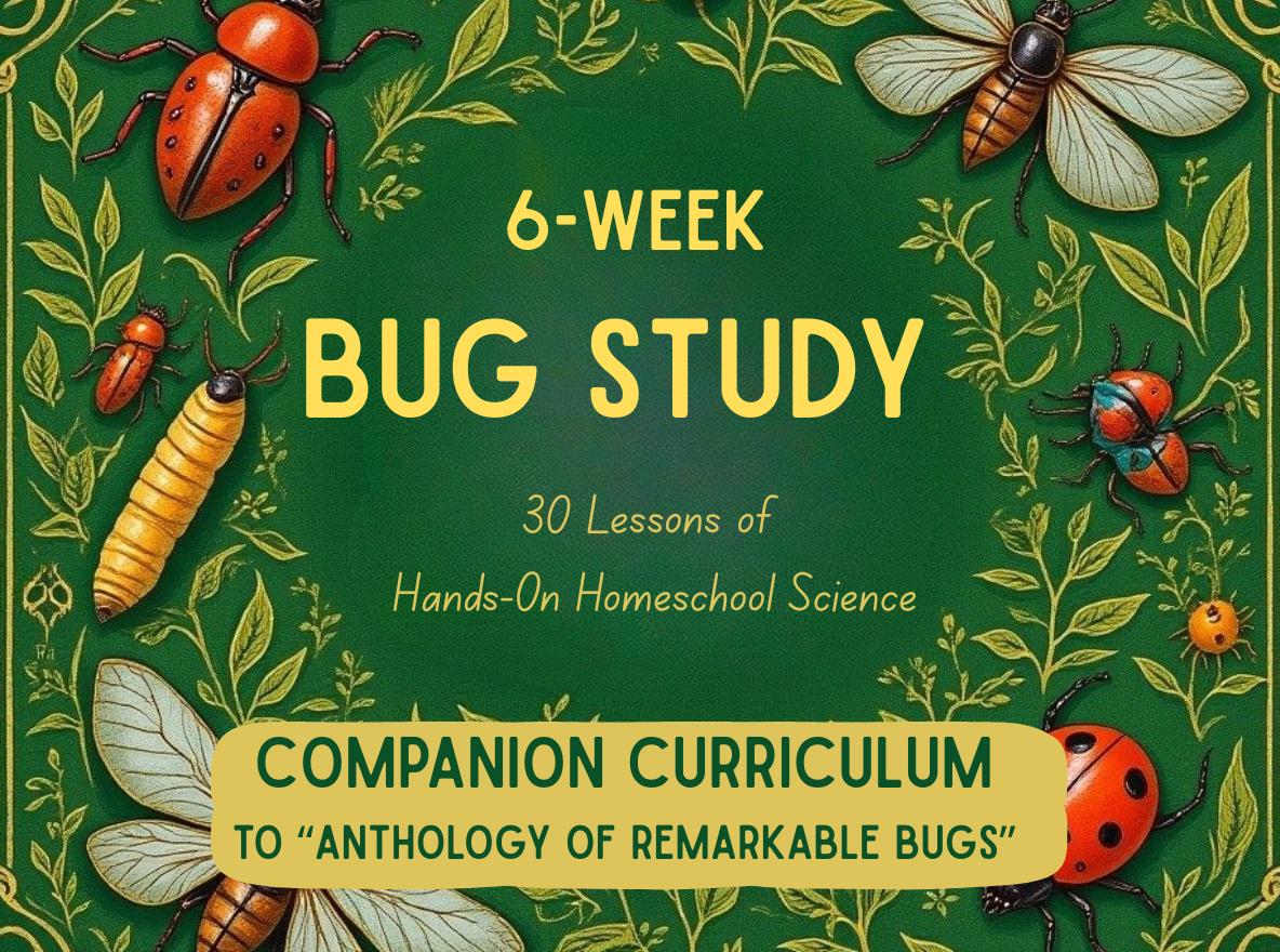 Bug Unit Study | 30-day Elementary Insect Curriculum | Anthology of ...