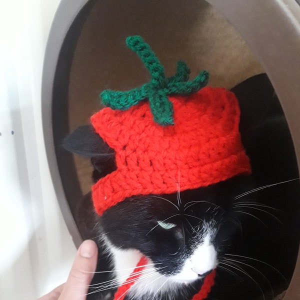Tomato Hat - Etsy