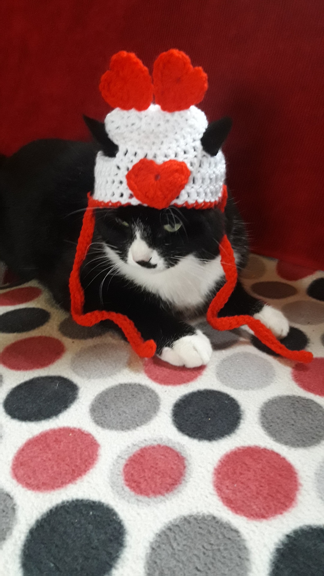 Heart Cat Hat/valentine's Day Cat Hat/hats for Cats/red Heart/valentine ...