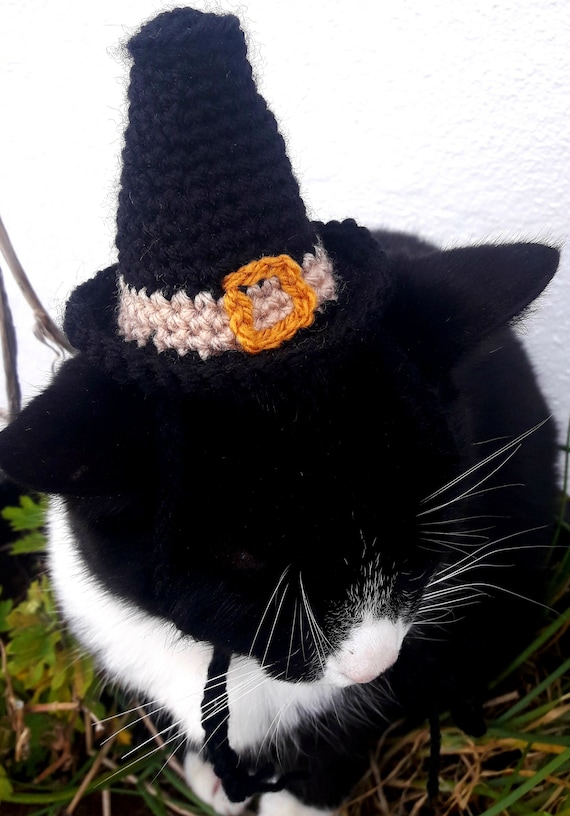 Cat Dressed As Pilgrim