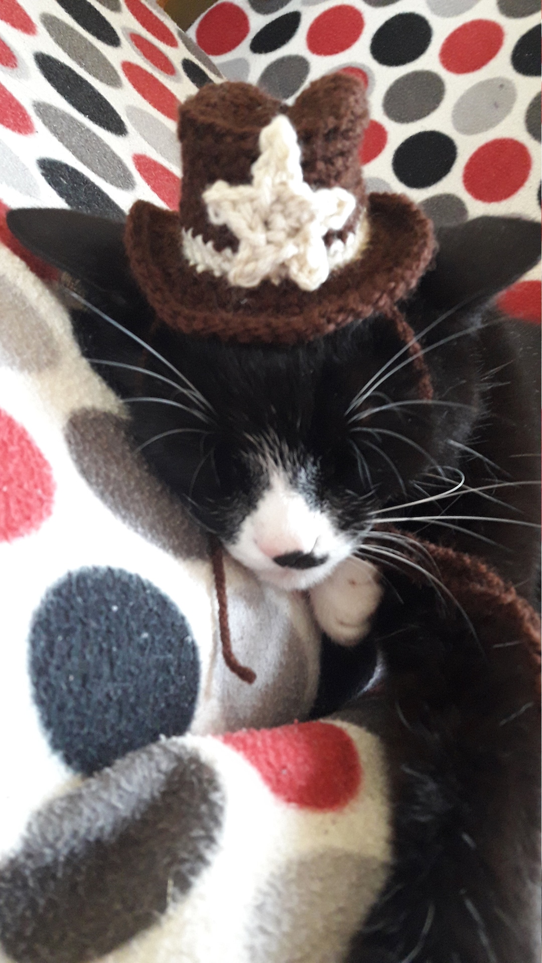 Chapeau de cowboy/Chapeau de cowboy pour chats/Chapeau de - Etsy France