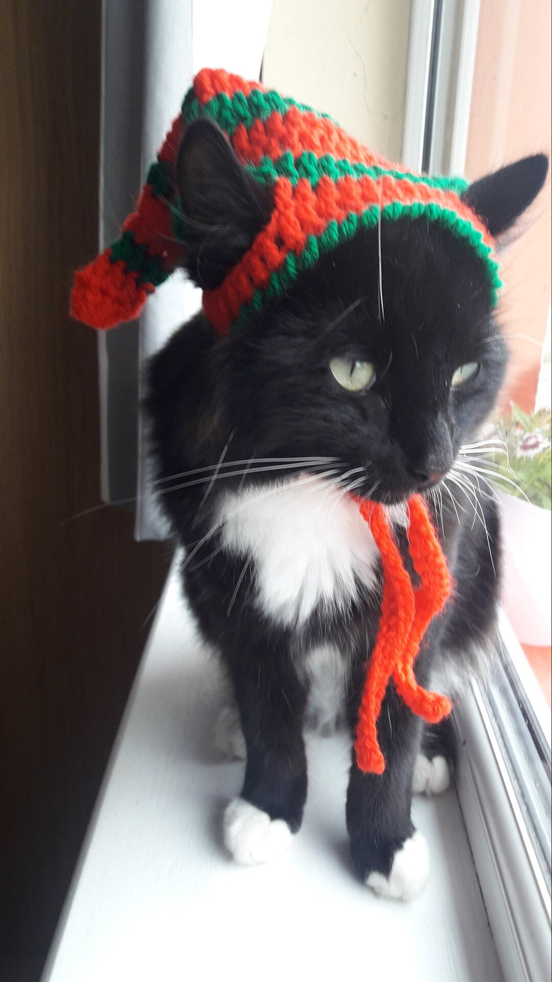 Elf Cat Hat/elf Hat for Cats/cat Elf Hat/christmas Cat - Etsy