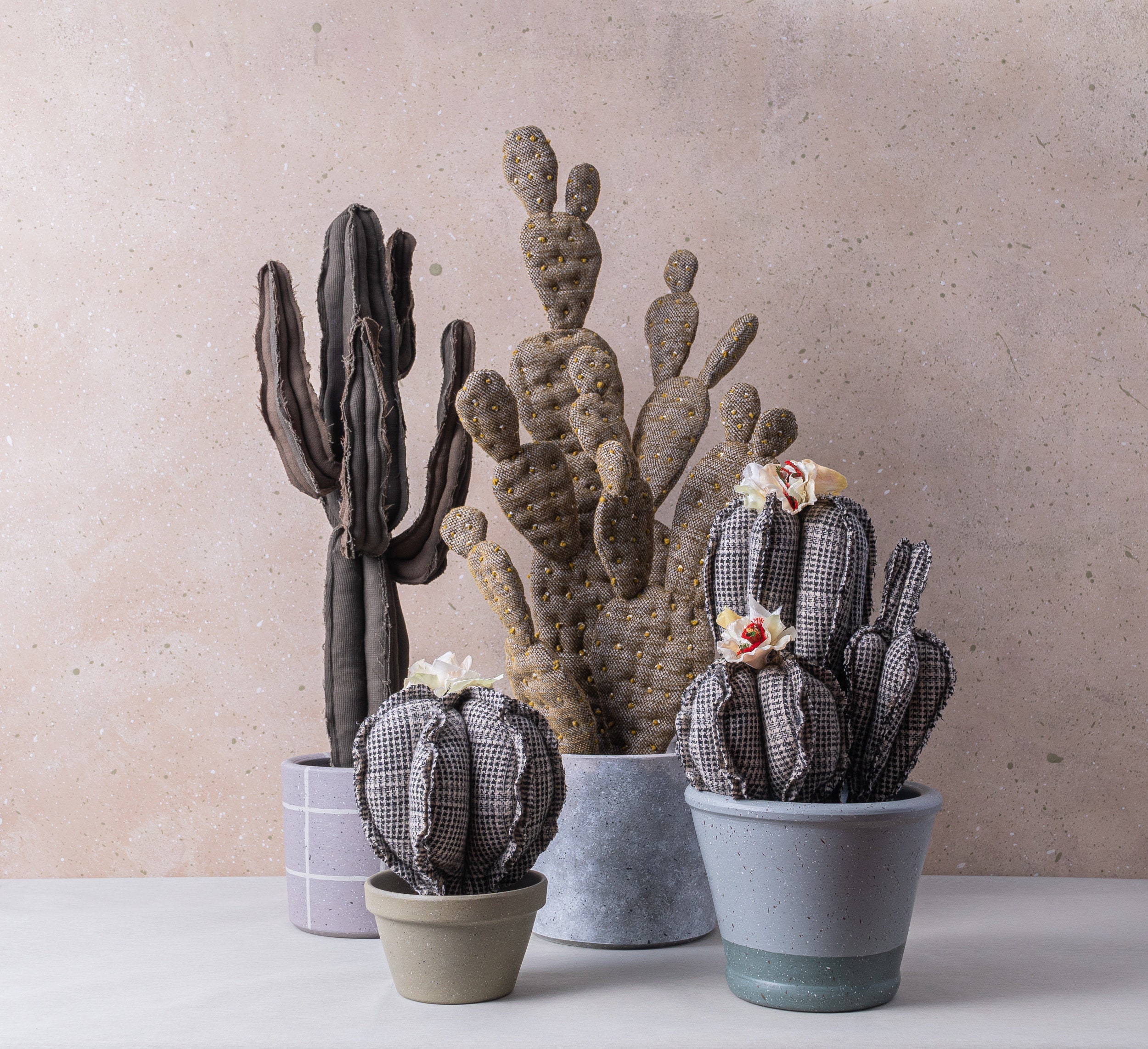 Large Cactus Plant Rare Cactus Fake Plants Plant Dad - Etsy