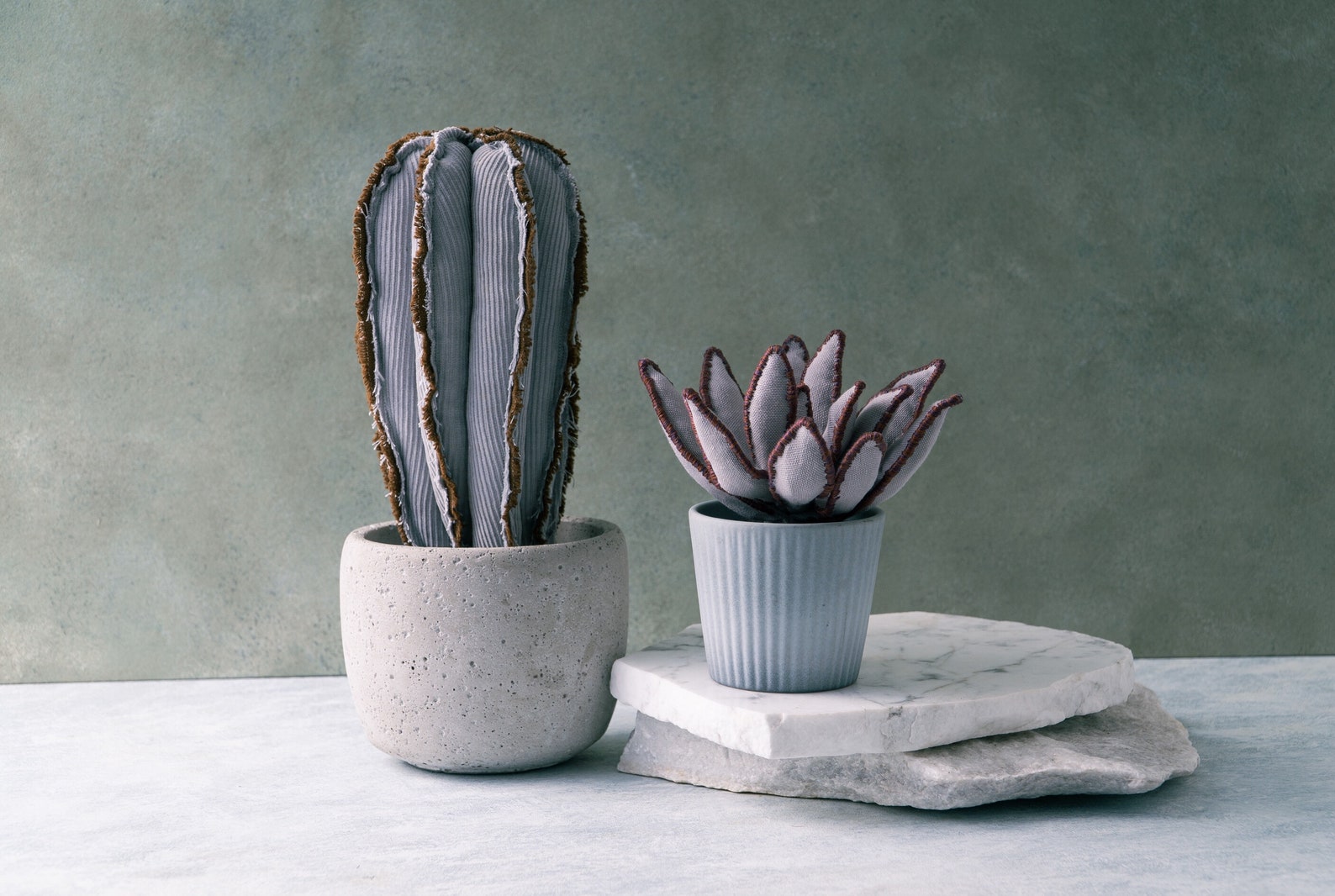 Boho Cactus - Handmade Potted Plants - Home Decoration - Boho Decor - Etsy