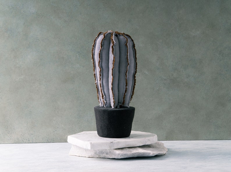 Boho Cactus - Handmade Potted Plants - Home Decoration - Boho Decor - Etsy