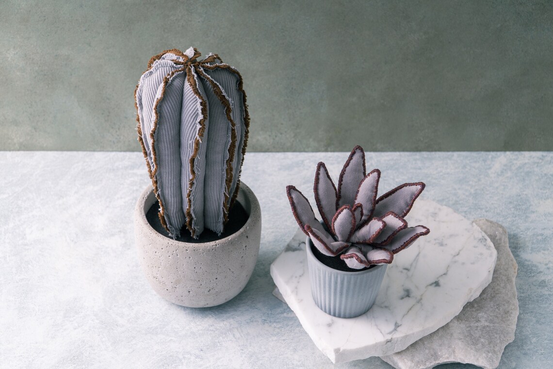 Boho Cactus Handmade Potted Plants Home Decoration Boho - Etsy