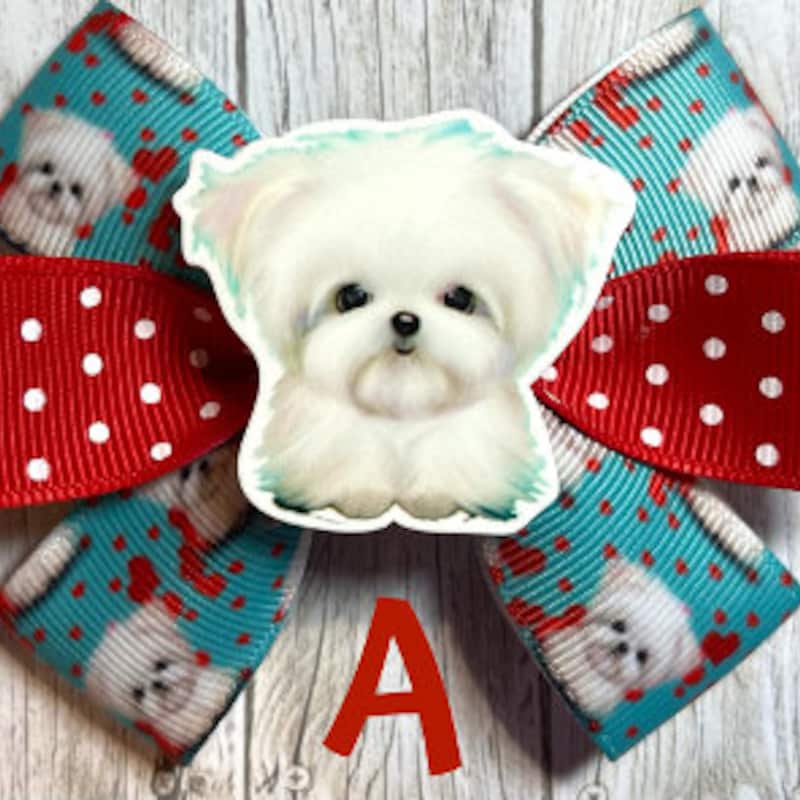 Crazy Bow Ties - Etsy