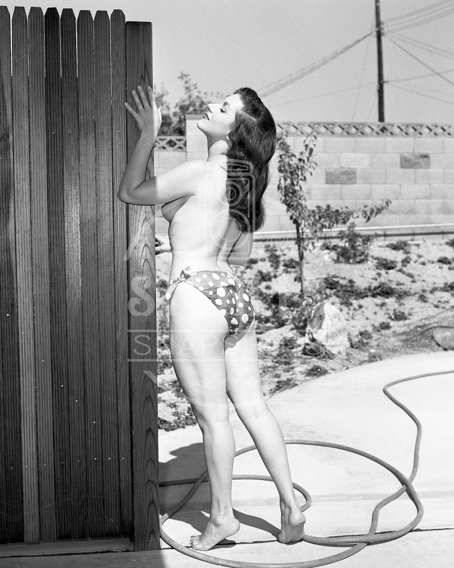 Nancy Lewis Topless in Vintage Bikini by Fence Looking up - Reprint From Original Negative - Etsy