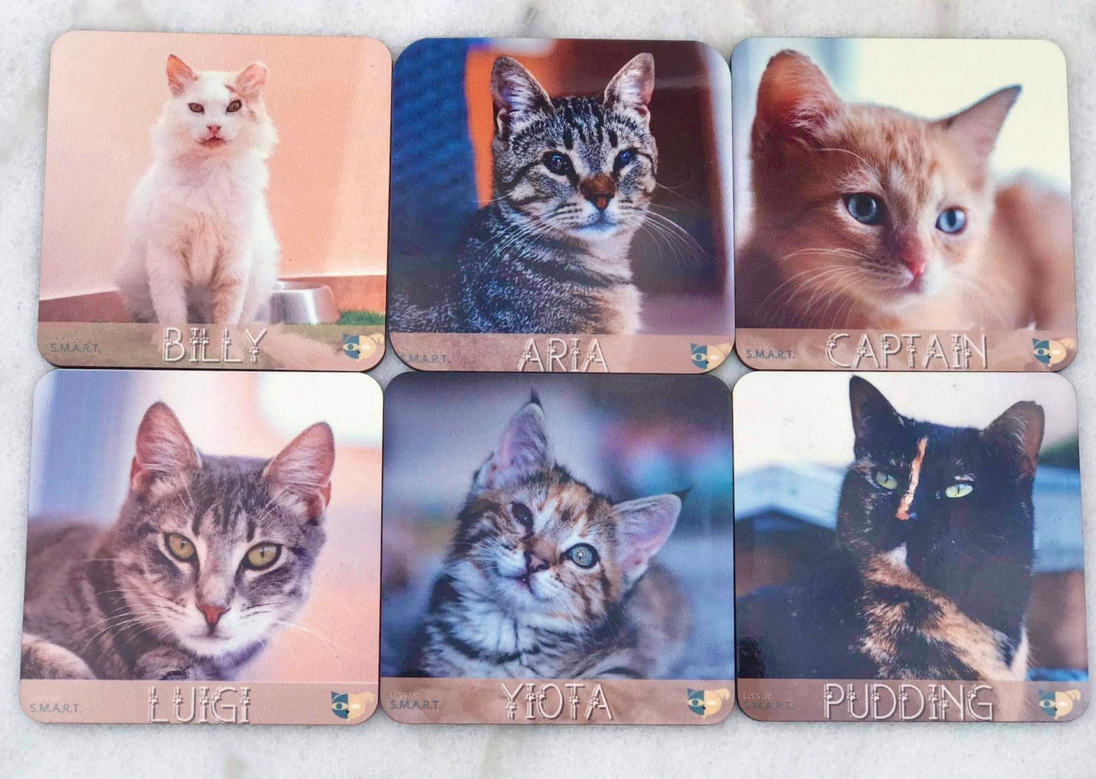 Cat Coasters, Set of 6 Cat Coasters, Cute Cat Coasters, Illustrated ...