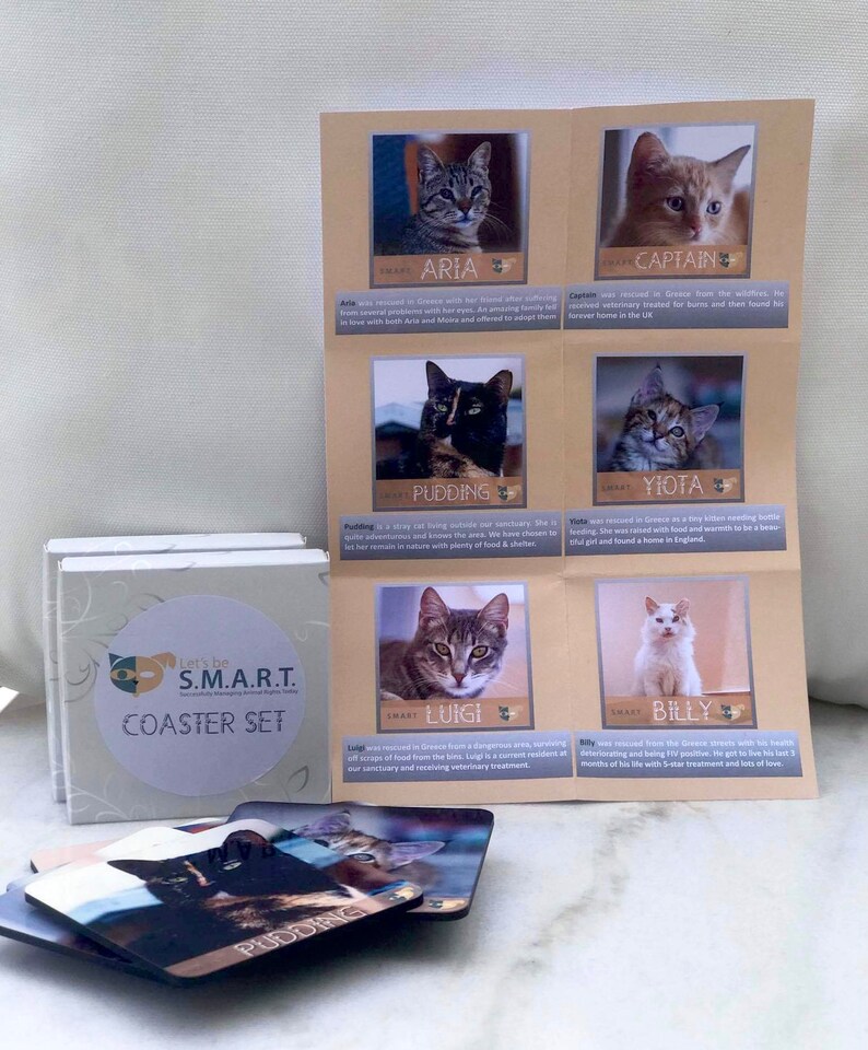 Cat Coasters, Set of 6 Cat Coasters, Cute Cat Coasters, Illustrated ...