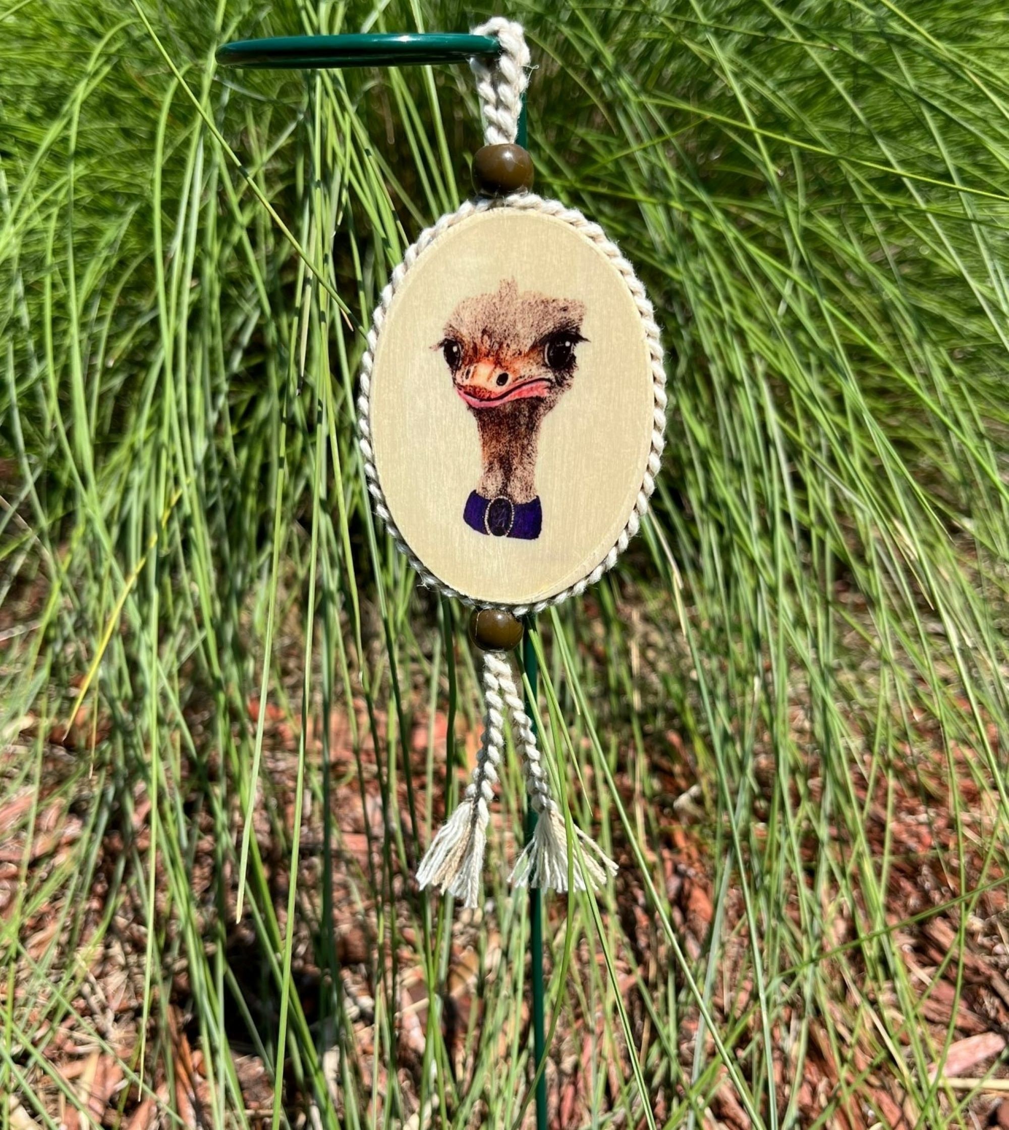 Olivia Ostrich Medallion, Plant Decoration, Plant Pet, Ostrich Ornament ...