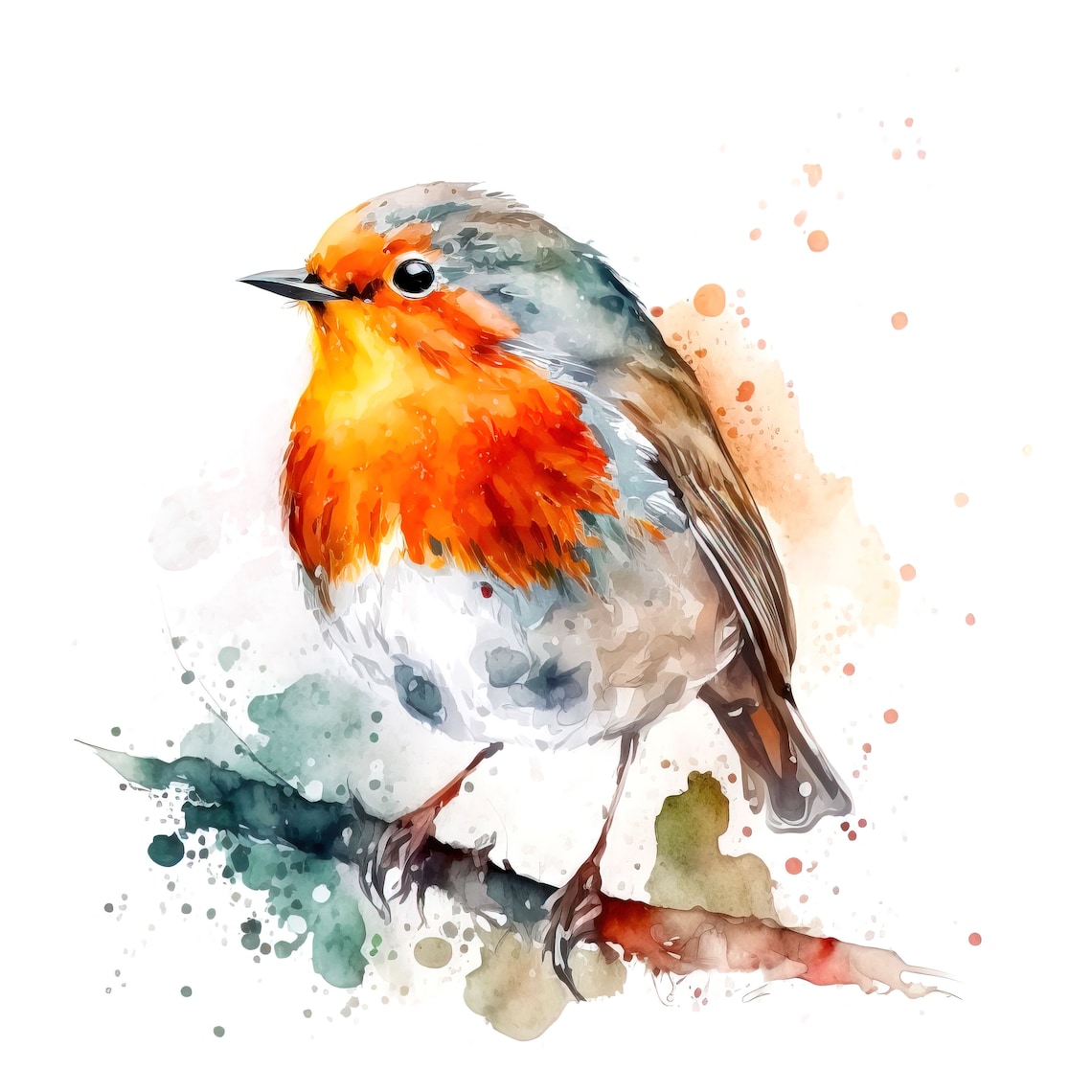 Cute Robin 12 JPG, Digital Download, Commercial Use, Clipart for Craft ...