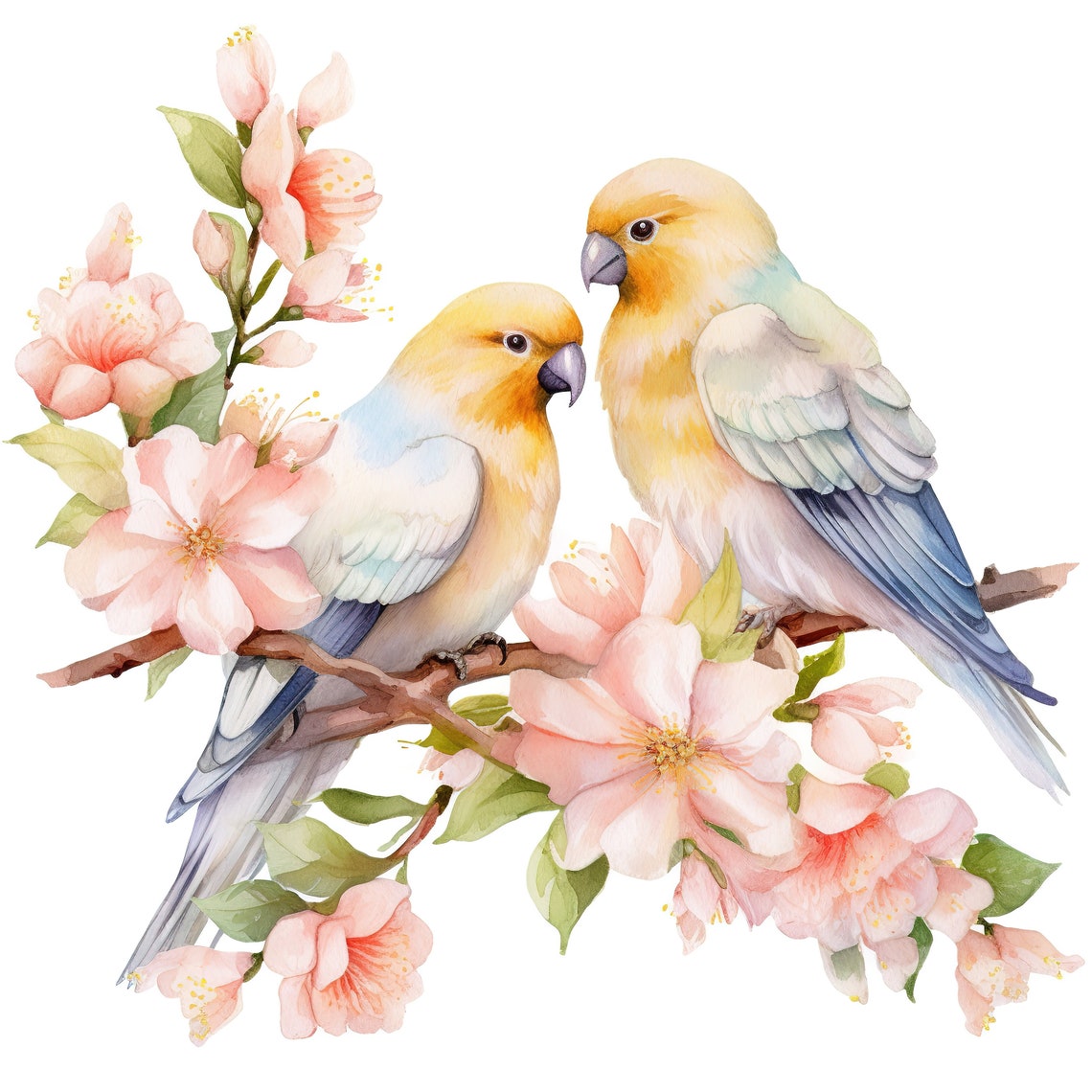 A Pair of Cute Birds Clip Art, 12 High Quality Jpg_digital Download ...