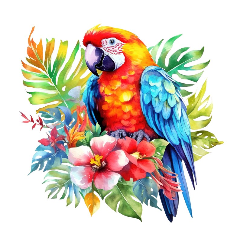 Colorful Parrot Clipart 12 High Quality JPG, Digital Download, Craft ...