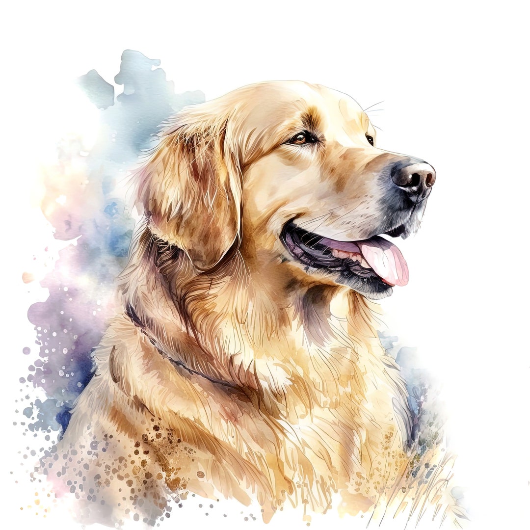 Golden Retriever Watercolor Clipart, Digital Download, Craft Projects ...