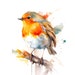 Cute Robin 12 JPG, Digital Download, Commercial Use, Clipart for Craft ...