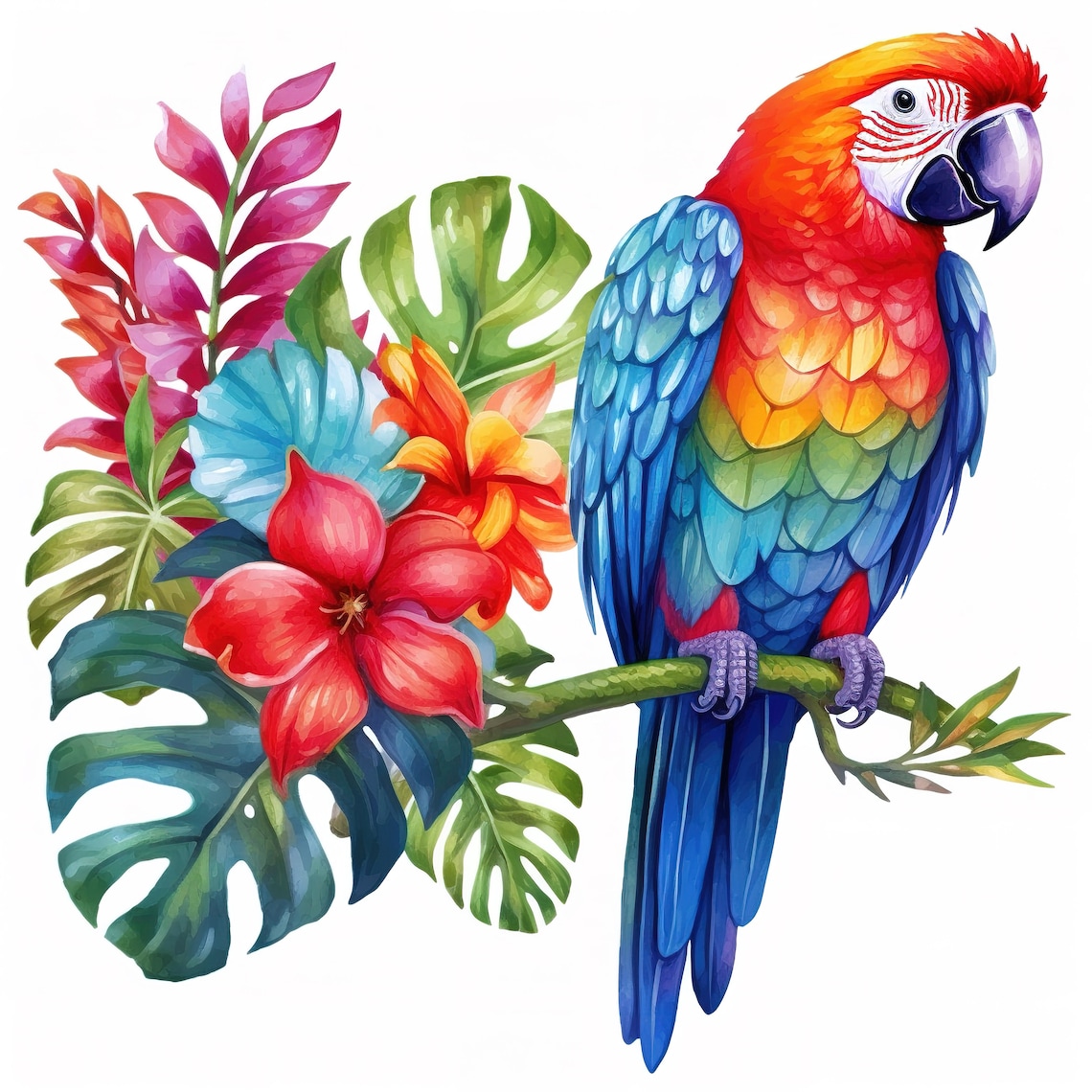 Colorful Parrot Clipart 12 High Quality JPG, Digital Download, Craft ...